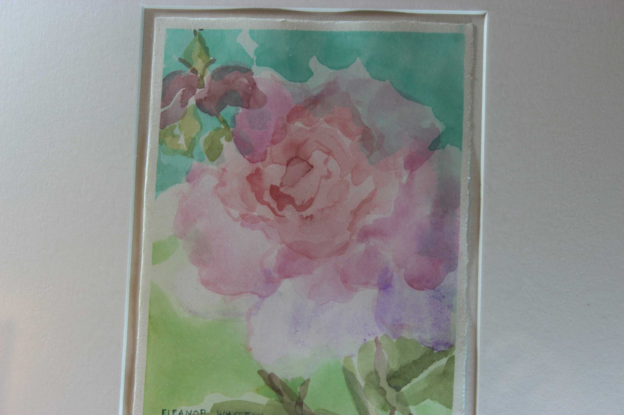 Eleanor Whitely Watercolour - Pink Rose – With A Past