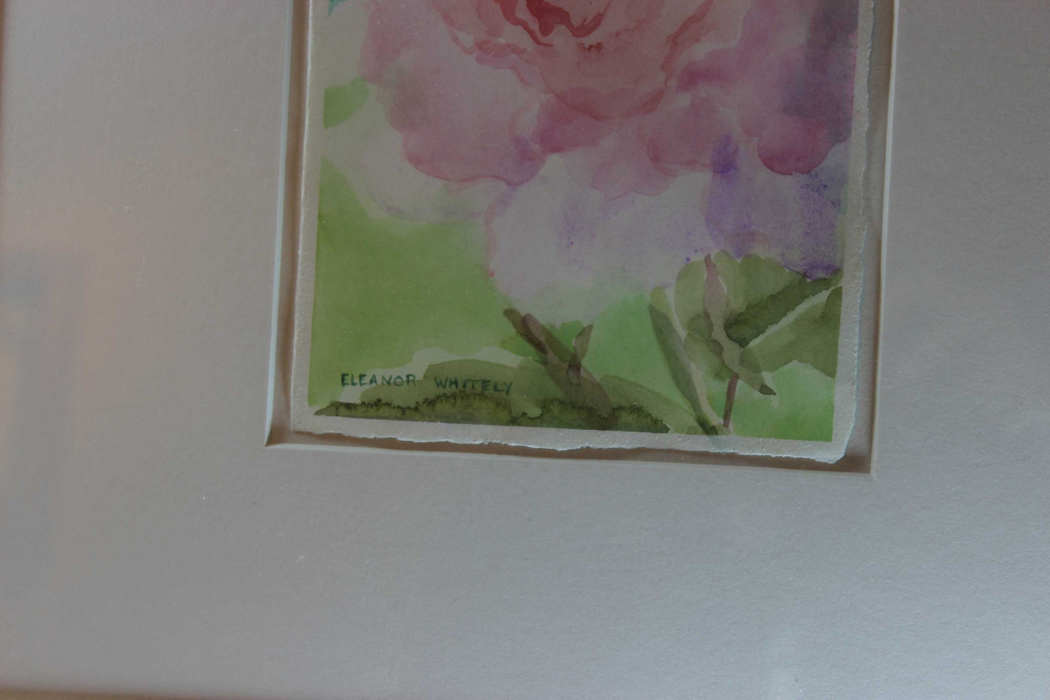 Eleanor Whitely Watercolour - Pink Rose – With A Past