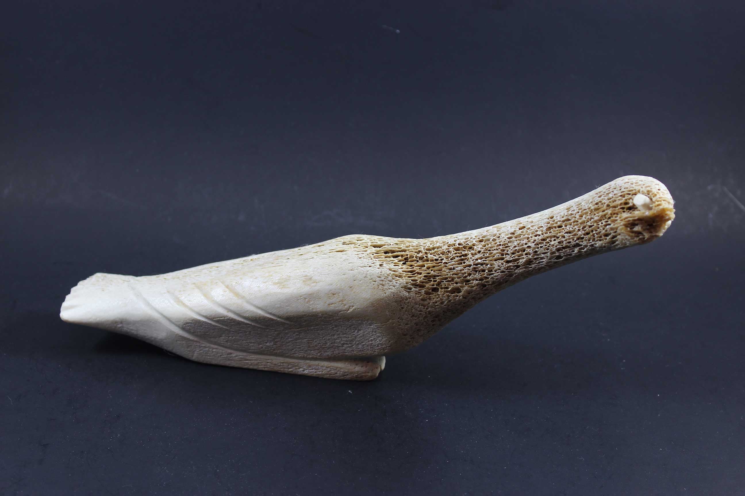 Inuit Carving, Arctic Bird in Bone – With A Past