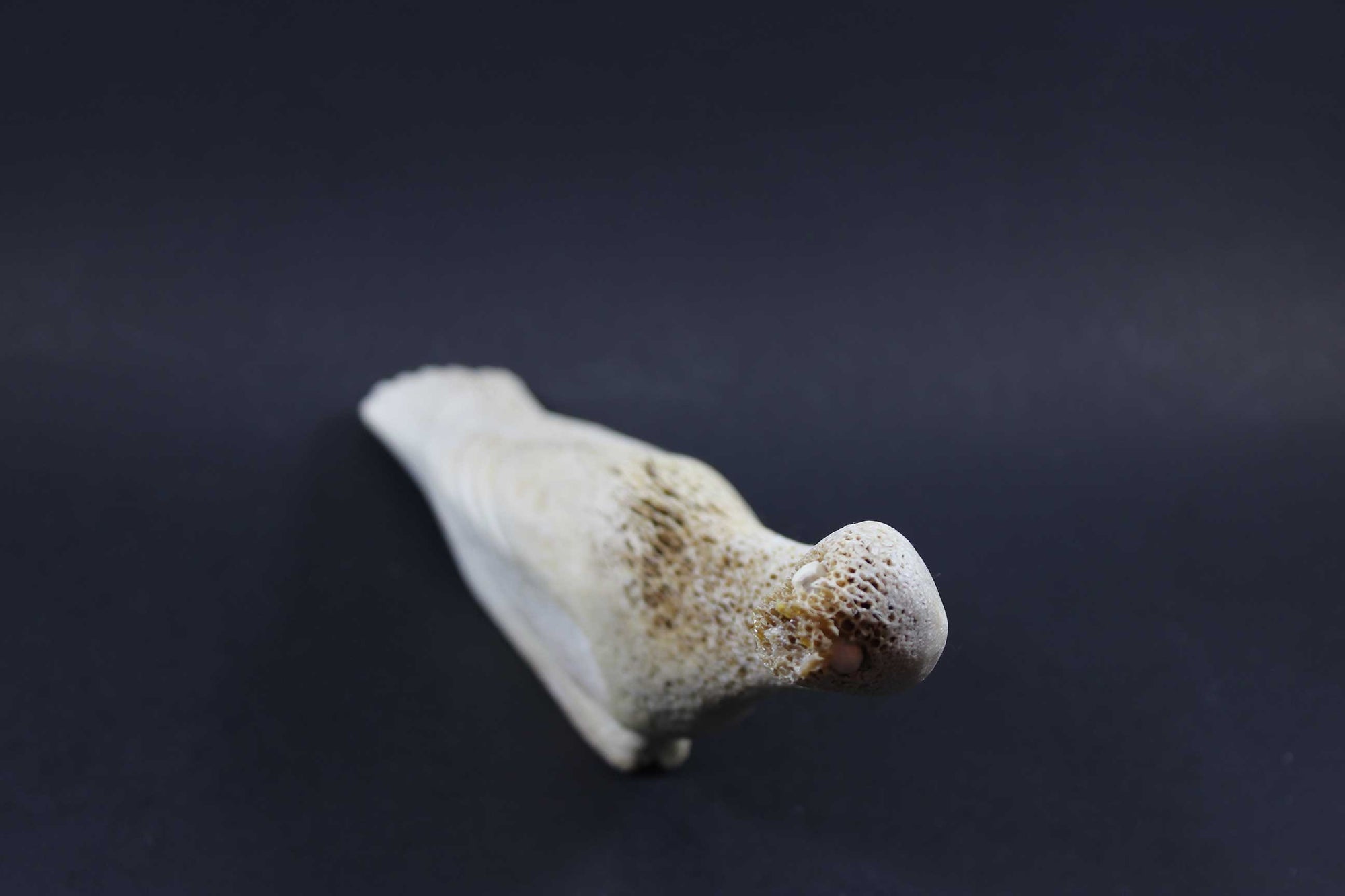 Inuit Carving, Arctic Bird in Bone – With A Past